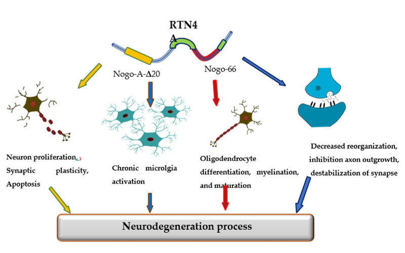 Medical University of Bialystok. Science at MUB.